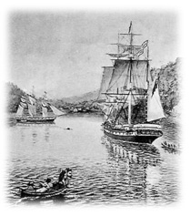 The Kauri Run: or Why I Love New Zealand - Dhiraja